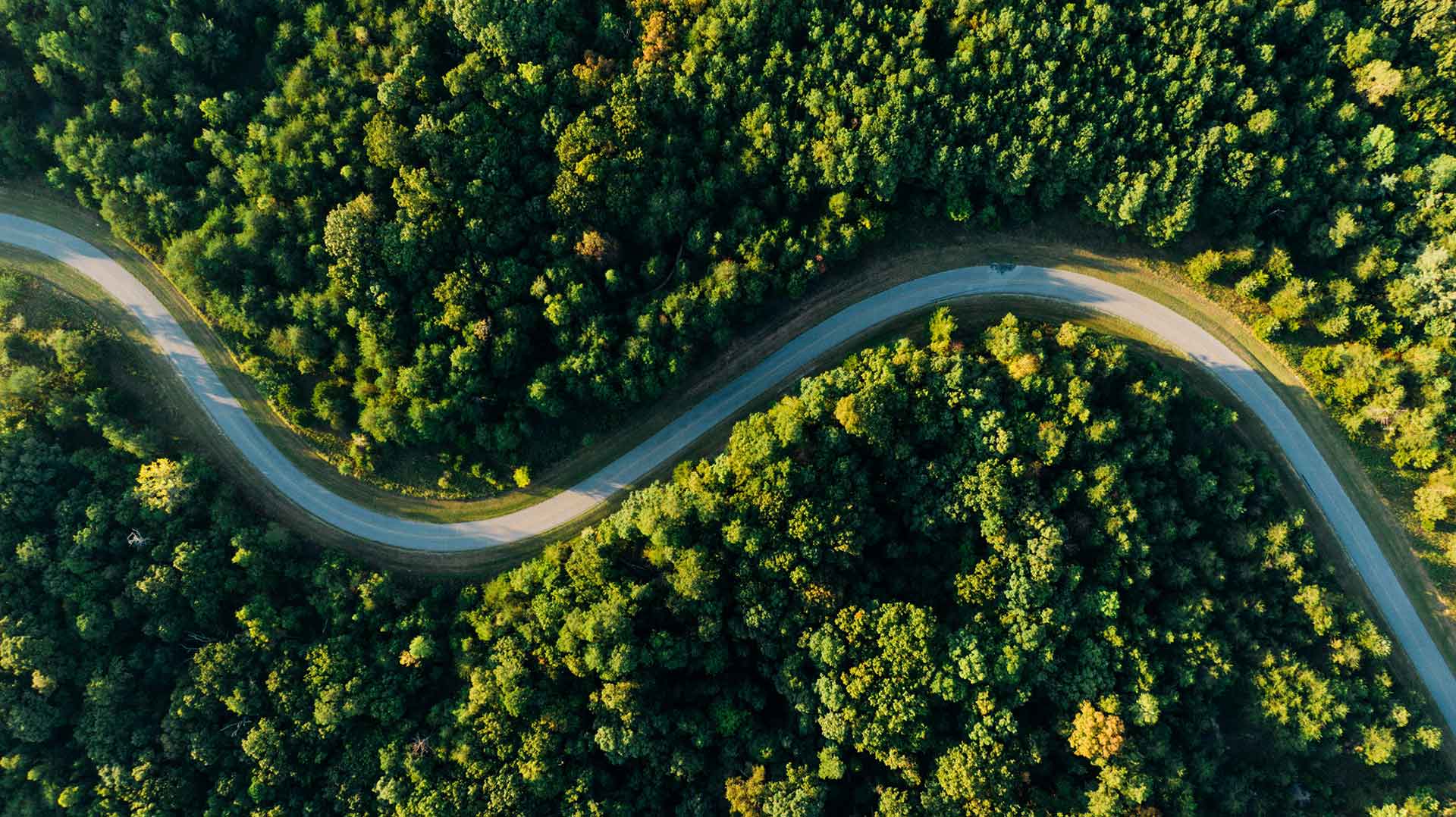 About us - 4Growth