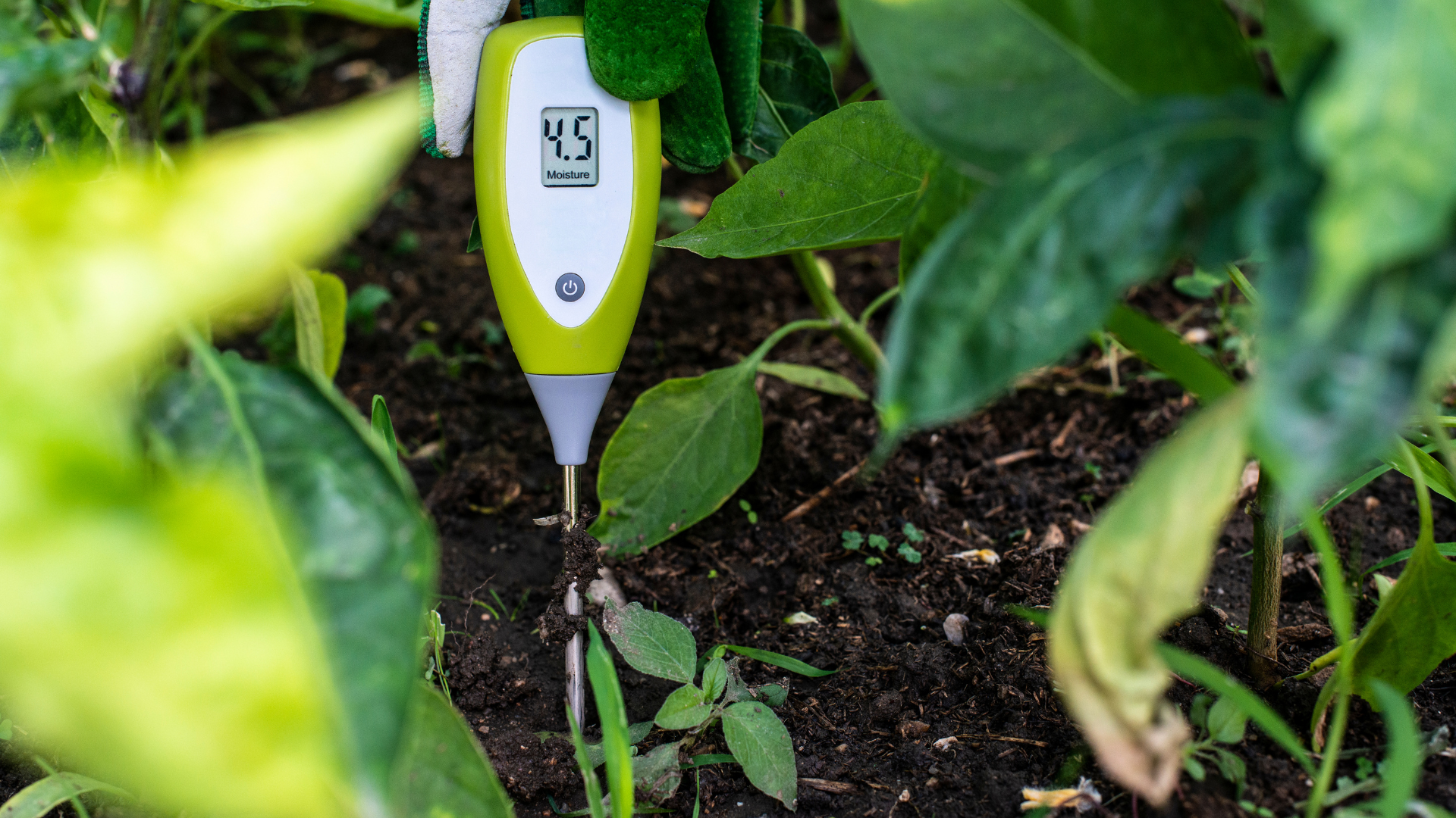 Driving Agricultural Innovation: The Rise of Mapping Technologies - 4Growth