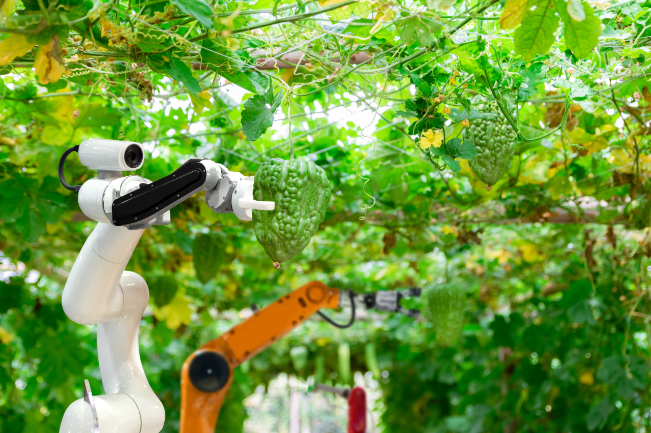 Precision in Motion: Exploring Robotics in Agriculture - 4Growth